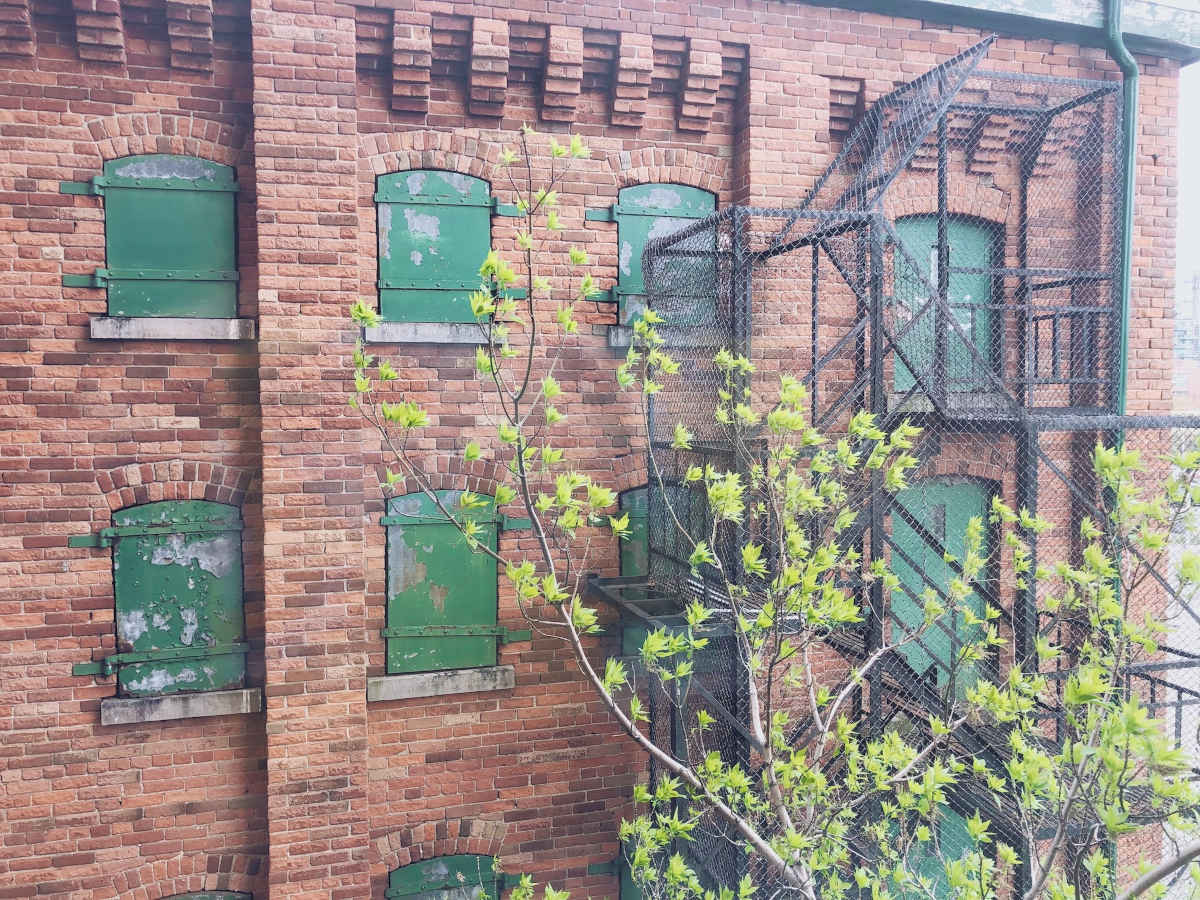 Mill Street Toronto Student Accommodation