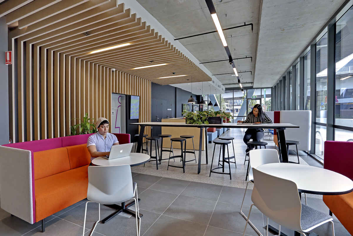 Scape Darling House Sydney Student Accommodation