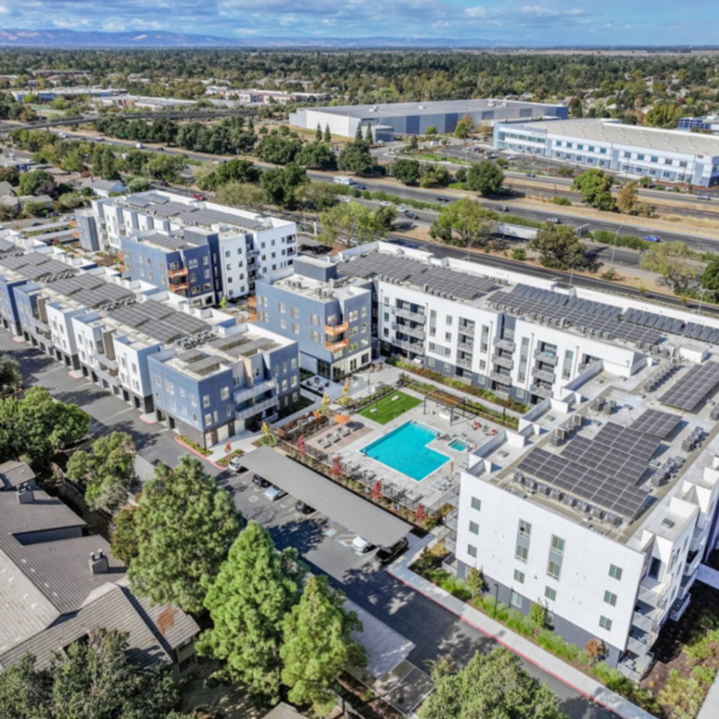 The Celeste Davis | 𝗨𝗽𝘁𝗼 $𝟱𝟬 𝗢𝗙𝗙