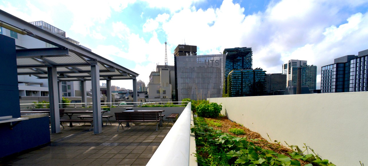 Broadway x Scape Sydney Student Accommodation
