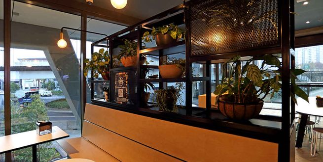 Scape Darling House Sydney Student Accommodation