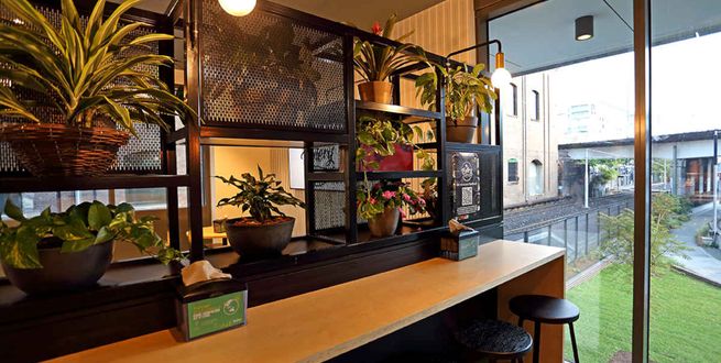 Scape Darling House Sydney Student Accommodation