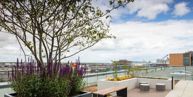 Point Campus Dublin Student Accommodation