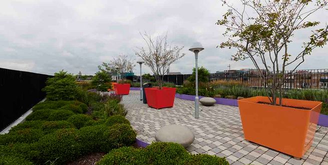 Dorset Point Dublin Student Accommodation